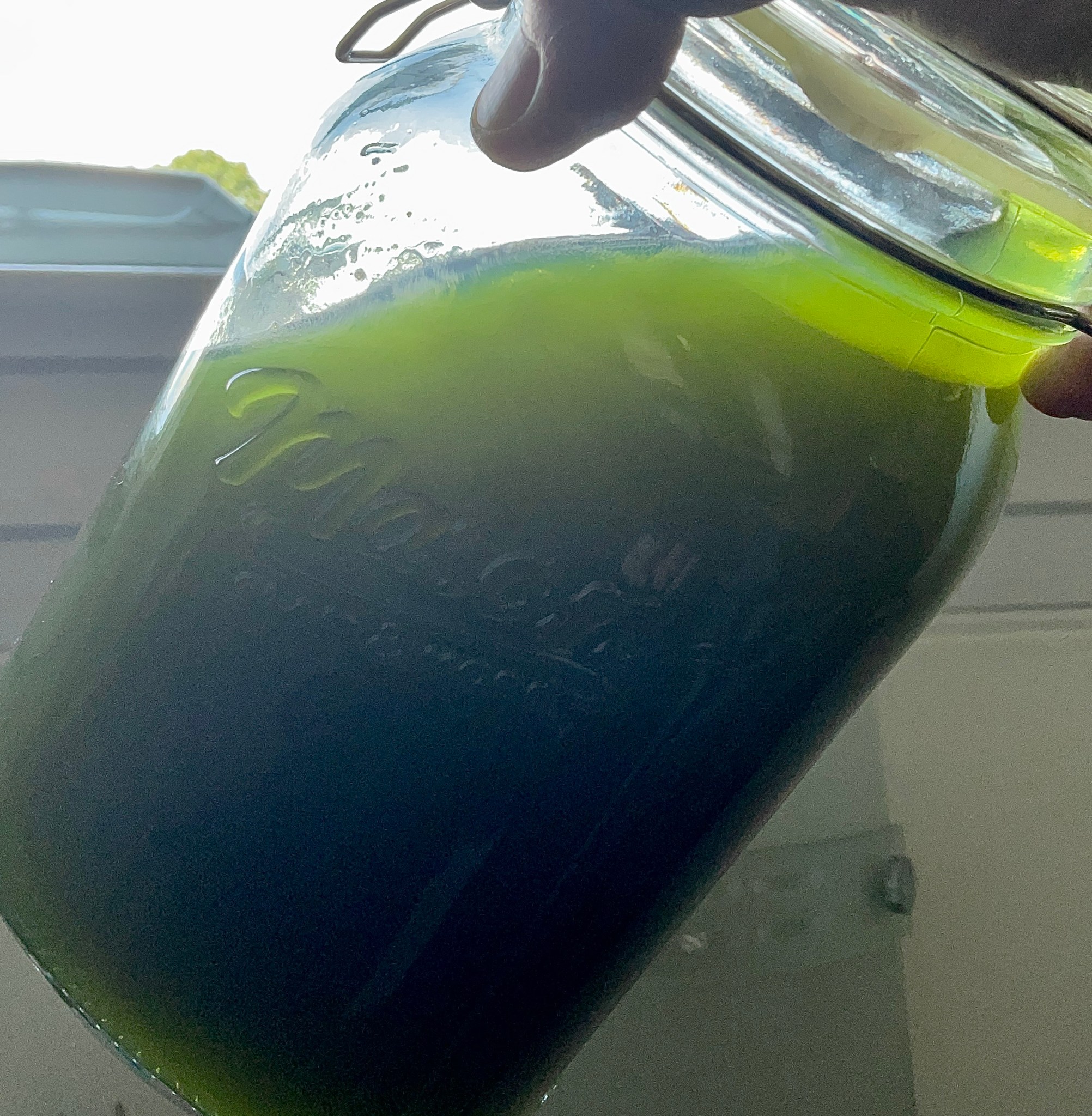 Green Chartreuse Recipe – Chartreuse & Amaro DIY