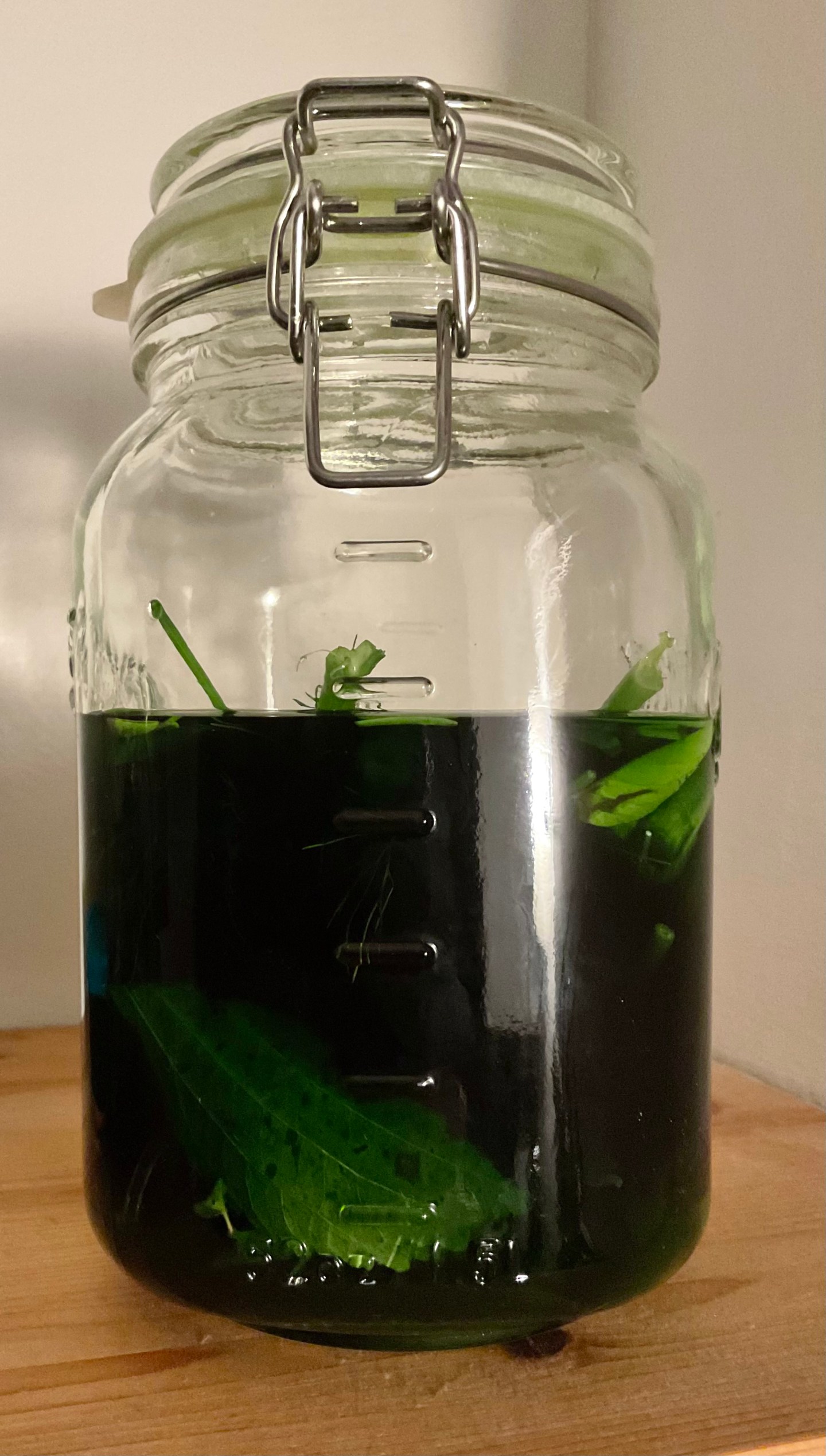 Green Chartreuse Recipe – Chartreuse & Amaro DIY