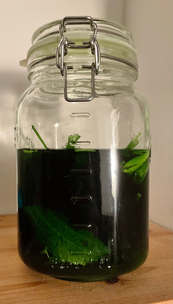 Green Chartreuse Recipe – Chartreuse & Amaro DIY